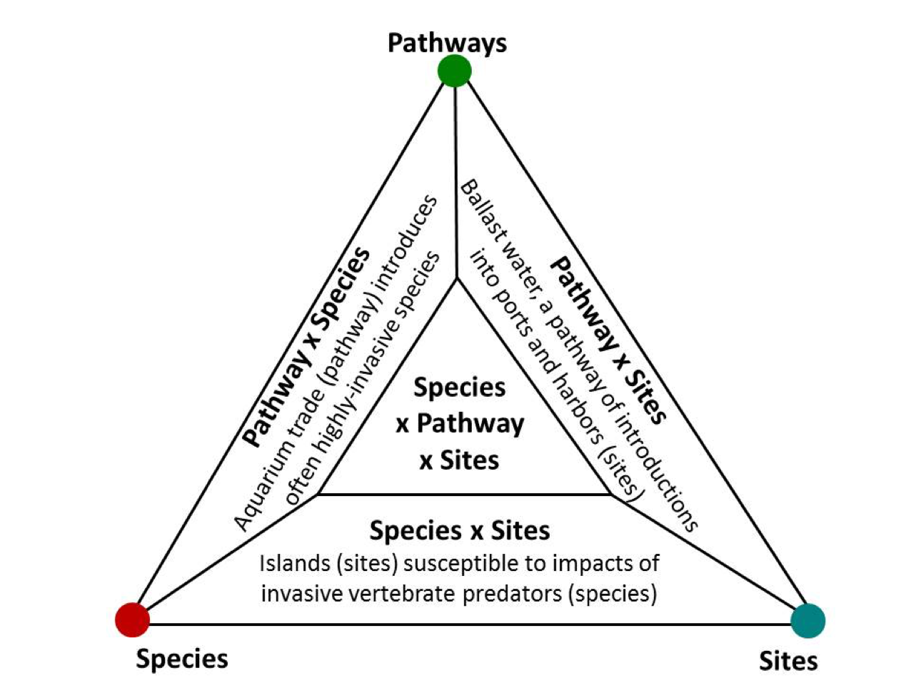 Invasive species, pathway and site diagram. - Invasive Species Council