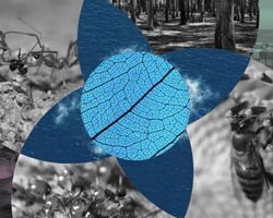 Myrtle rust plant scourge spreads to New Zealand - Invasive Species Council