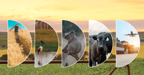 Draft National Biosecurity Strategy - Invasive Species Council