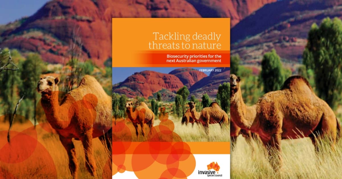 Biosecurity priorities for the next Australian government