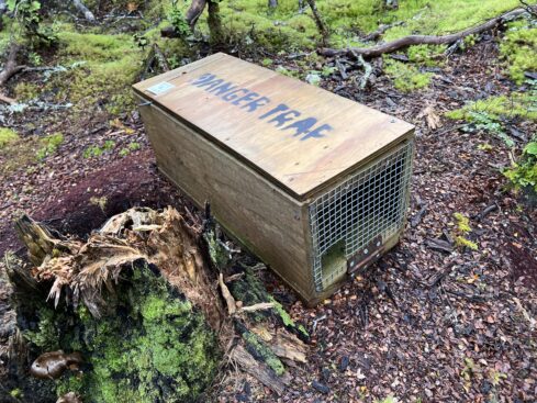 New Zealand, new insights - Invasive Species Council