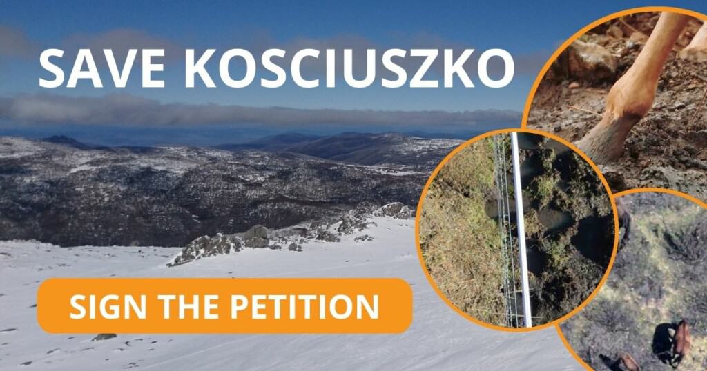 Sign the petition to prevent the damage done by harmful invasive ...