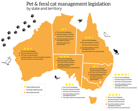 Cats in Australia - Invasive Species Council