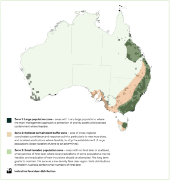 Stopping the "next rabbit": Australia needs a National Feral Deer ...