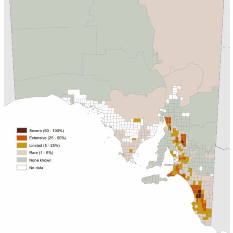 Ambitious South Australian feral deer eradication plan welcomed