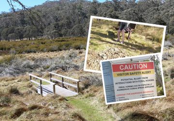 In the face of an invasion meltdown - Invasive Species Council